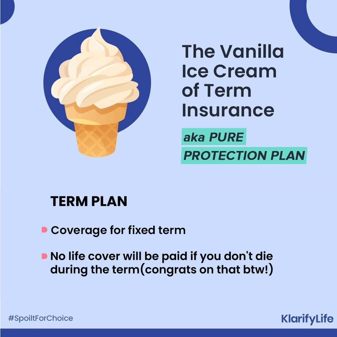 What are the different types of term policies?